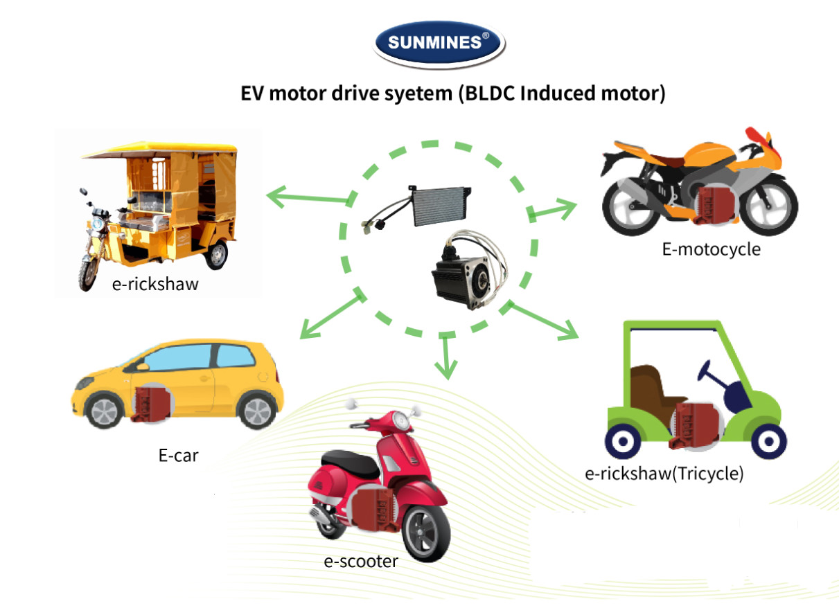 EV Driving System(BLDC. PM IM Motors) BLCD Induced Motor, Taiwan EV ...